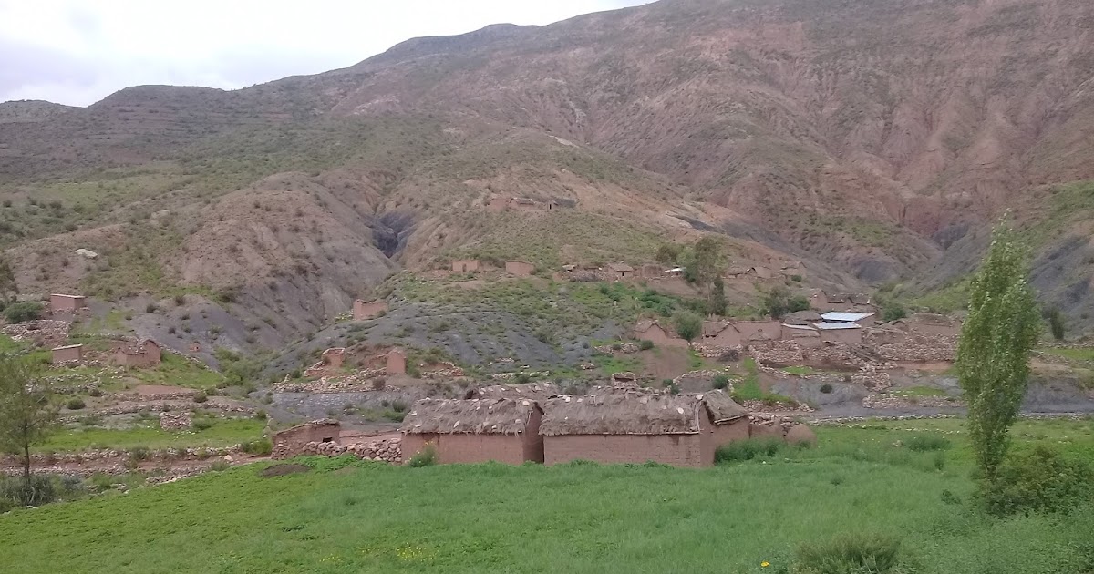 Comunidad Originaria de Chiruni: Galería Fotos de la comunidad Chiruni