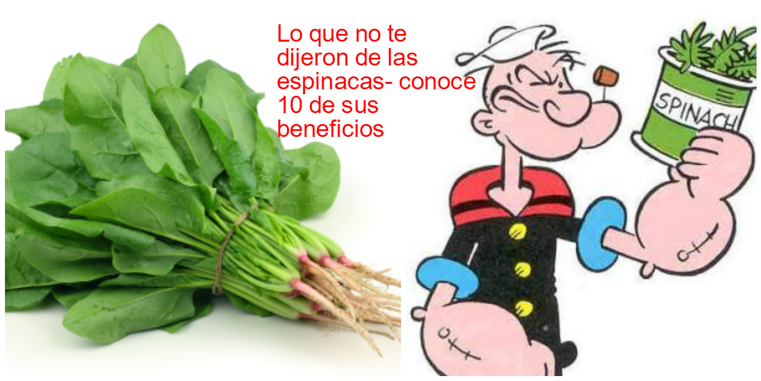 Conoce la importancia de las espinacas para nuestra salud ~ Manoslindas.com