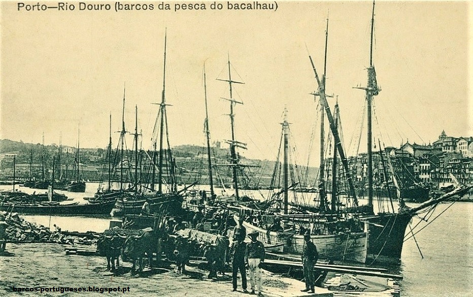 BARCOS PORTUGUESES - PORTUGUESE SHIPS : PORTO RIO DOURO " barcos da ...