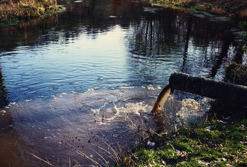Bioremediation et Biologie de l'environnement | BioEduc