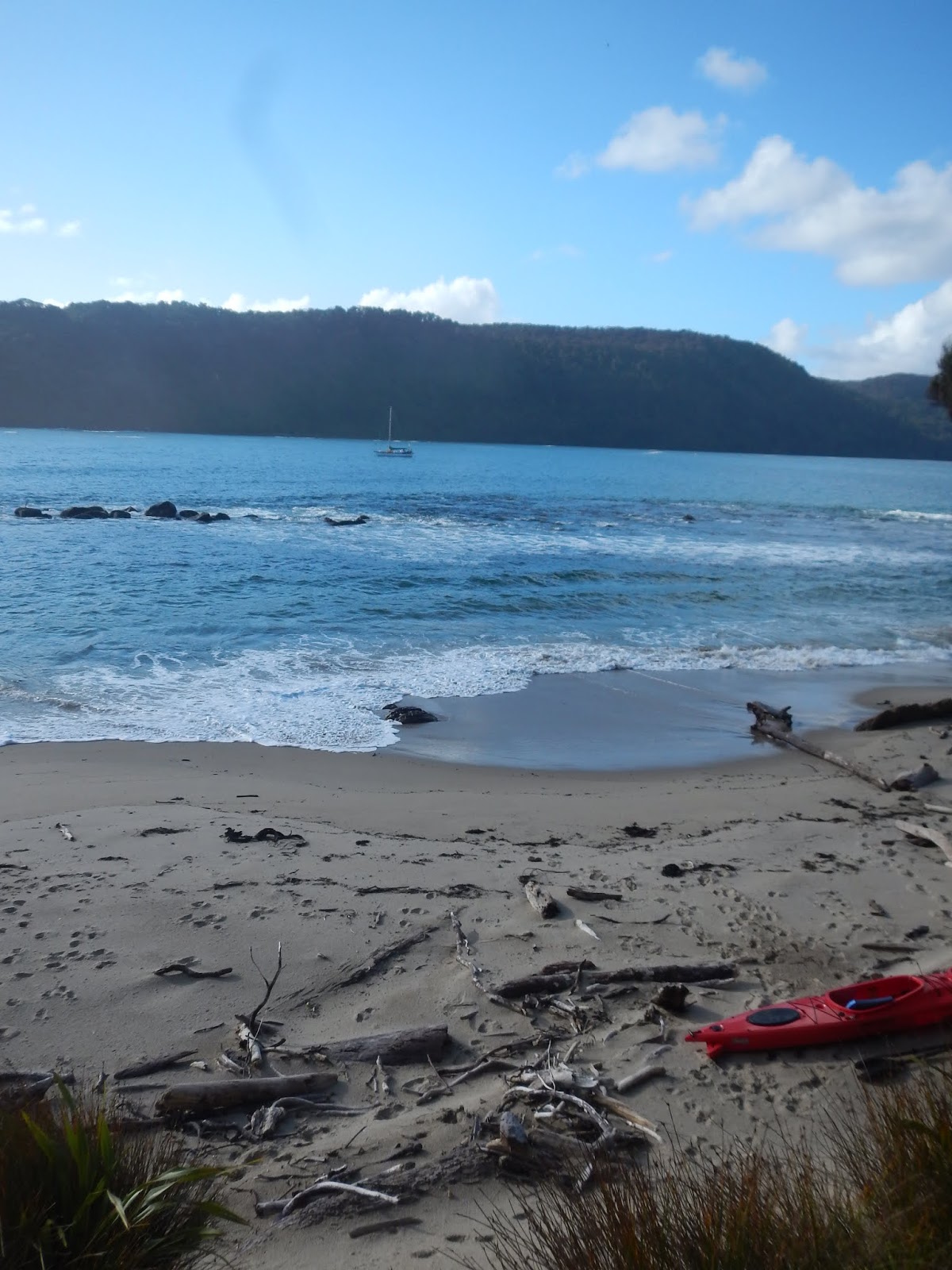 Elenya: Preservation Inlet