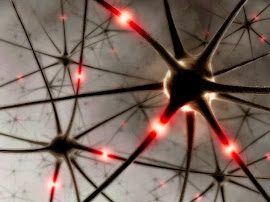 Unidentified Flying Object o Unknown Flying Object: Immortality drive ...