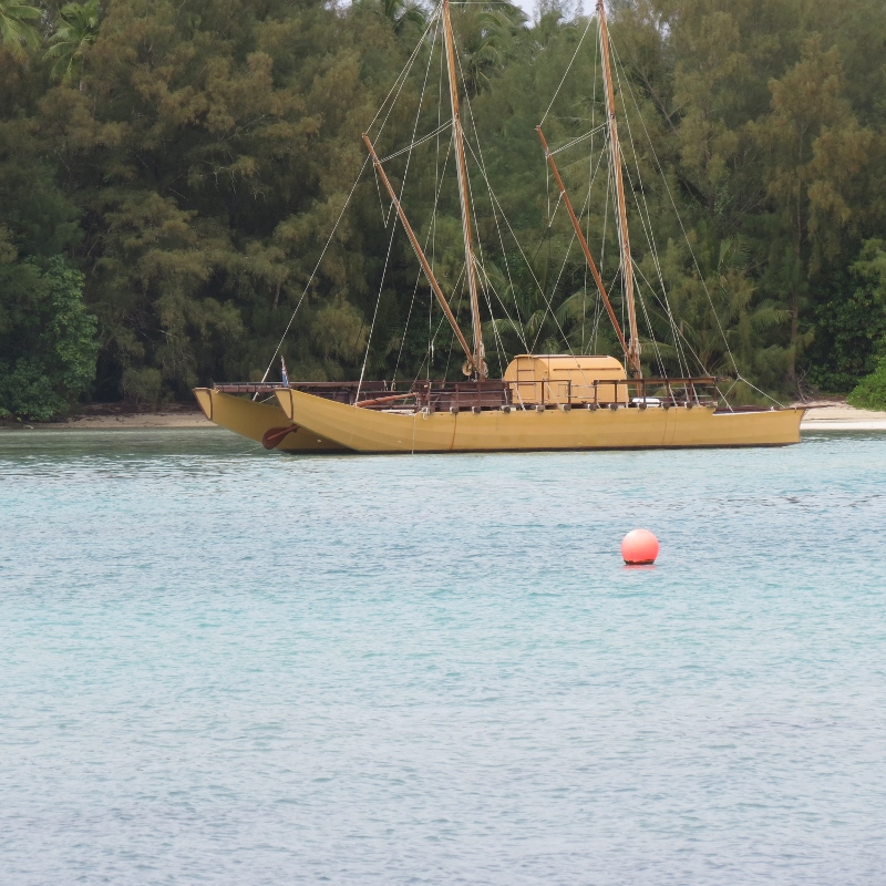 Part of the Past NZ History: Early Polynesian Waka Voyages of New ...