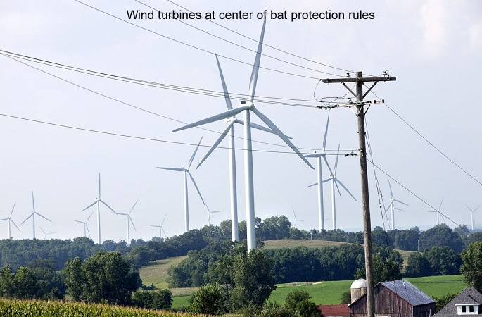 Wind turbines at center of bat protection rules