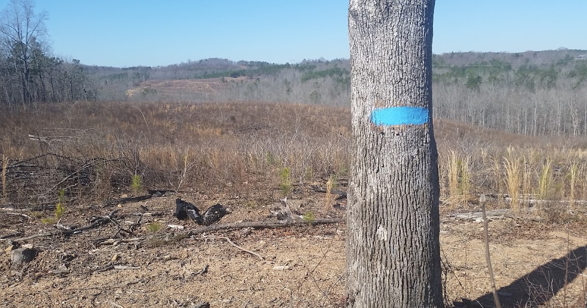 Private Forest Landowner: Boundary Lines