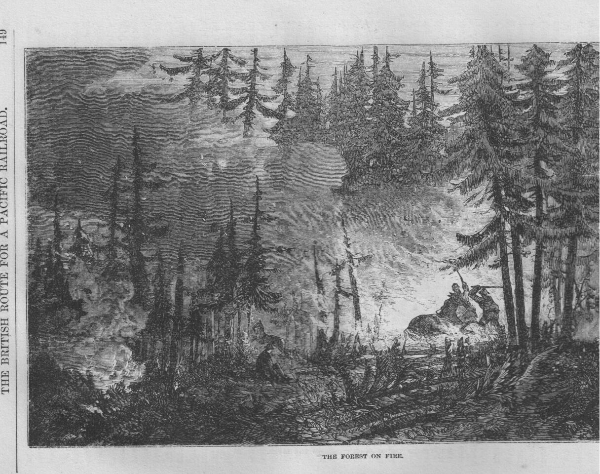 Jack Petree On The Environment: Want More Carbon Emissions? Try To ...