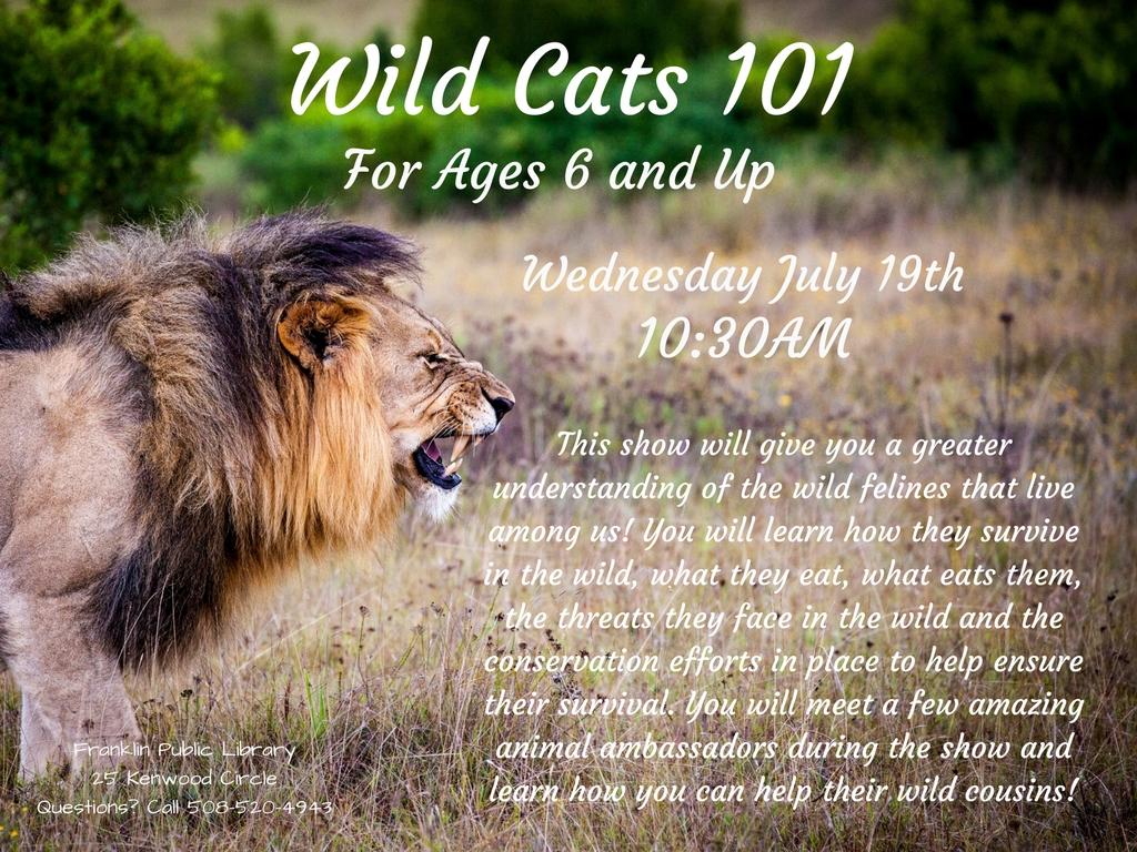 Franklin Public Library Wild Cats 101 for Ages 6 And Up Wednesday franklin-public-library-wild-cats-101-for-ages-6-and-up-wednesday