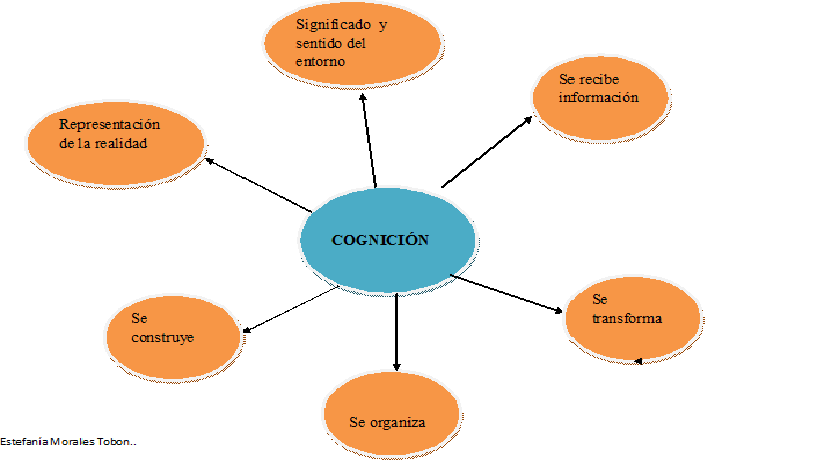 Desarrollo cognitivo y comunicativo: agosto 2015
