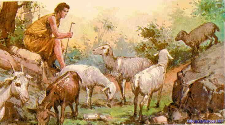 El Gozo de la Cruz. Estudios Biblicos: enero 2014