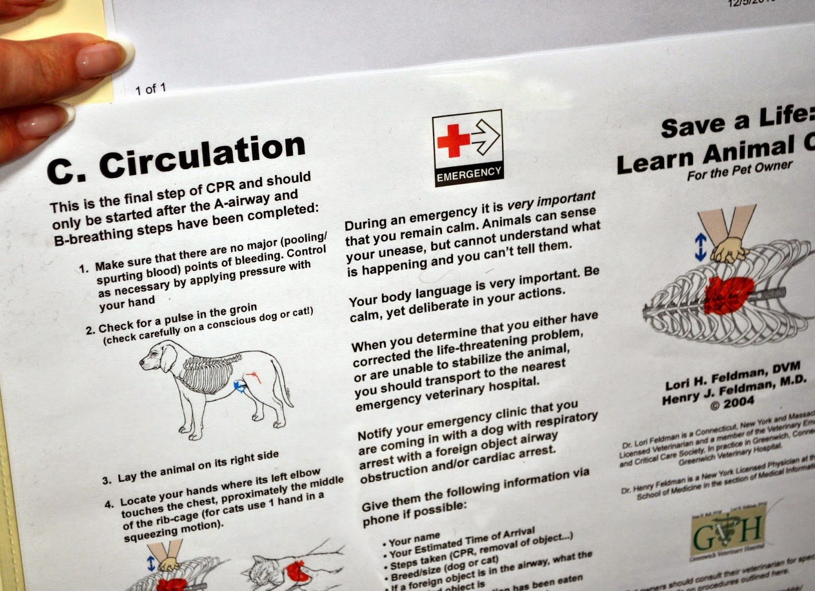 silvieon4: Thoughtless Thursday: THE first aid kit You never want to ...