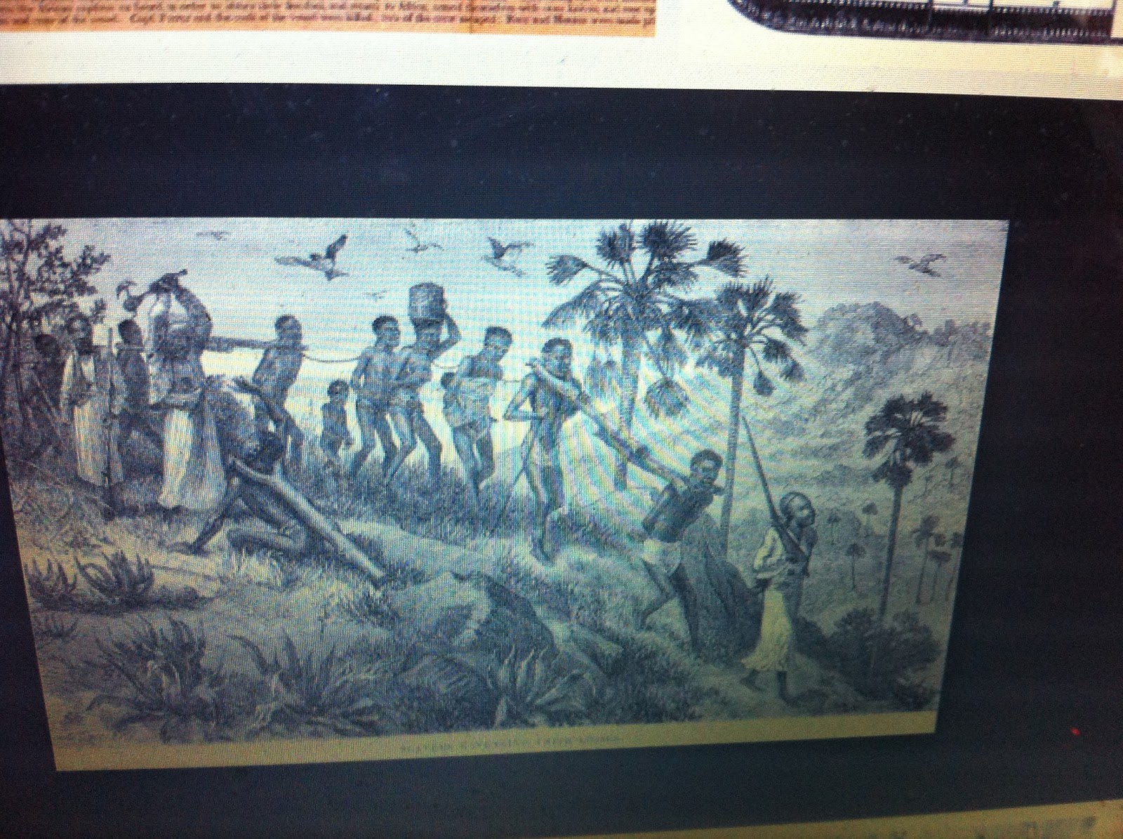 THE BLACK SOCIAL HISTORY:: BLACK SOCIAL HISTORY - THE CREOLE CASE - WAS ...