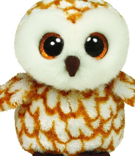 SOTW: The Transformer Owl (Ptilopsis leucotis) - Science in the City