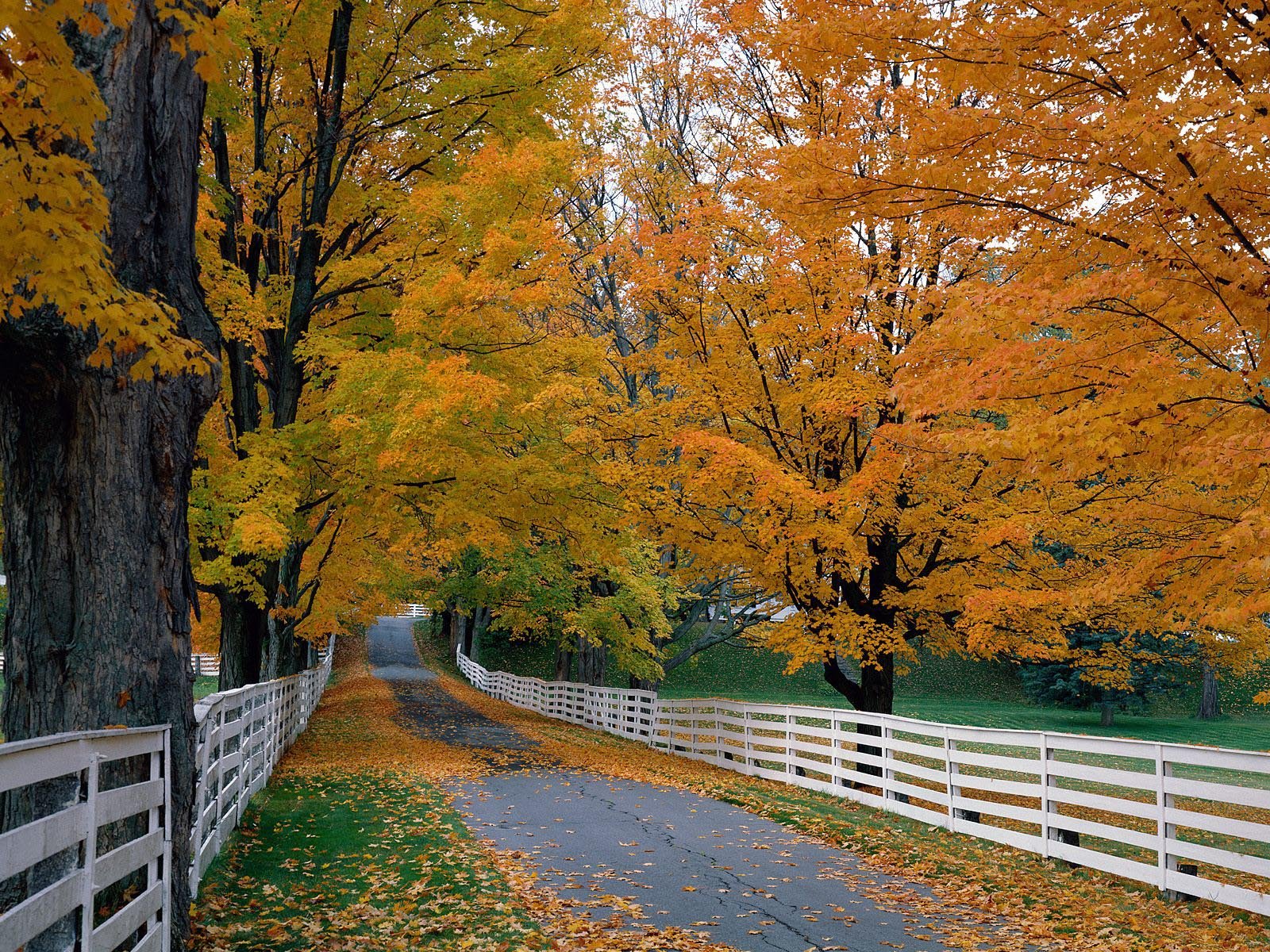 Top 35 Beautiful And Fabulous Paths Wallpapers In HD