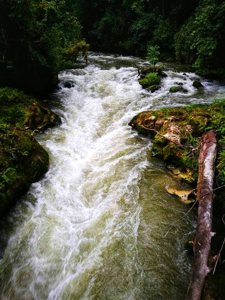 Morobe Tourism Bureau: Sweet Finschhafen