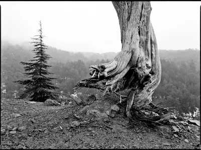 New Liturgical Movement: Living the Vita Liturgica: Conditions ...