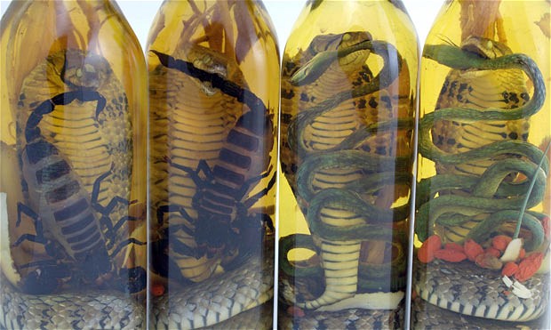 Vietnam Foods and Drinks: Snake wine in Vietnam