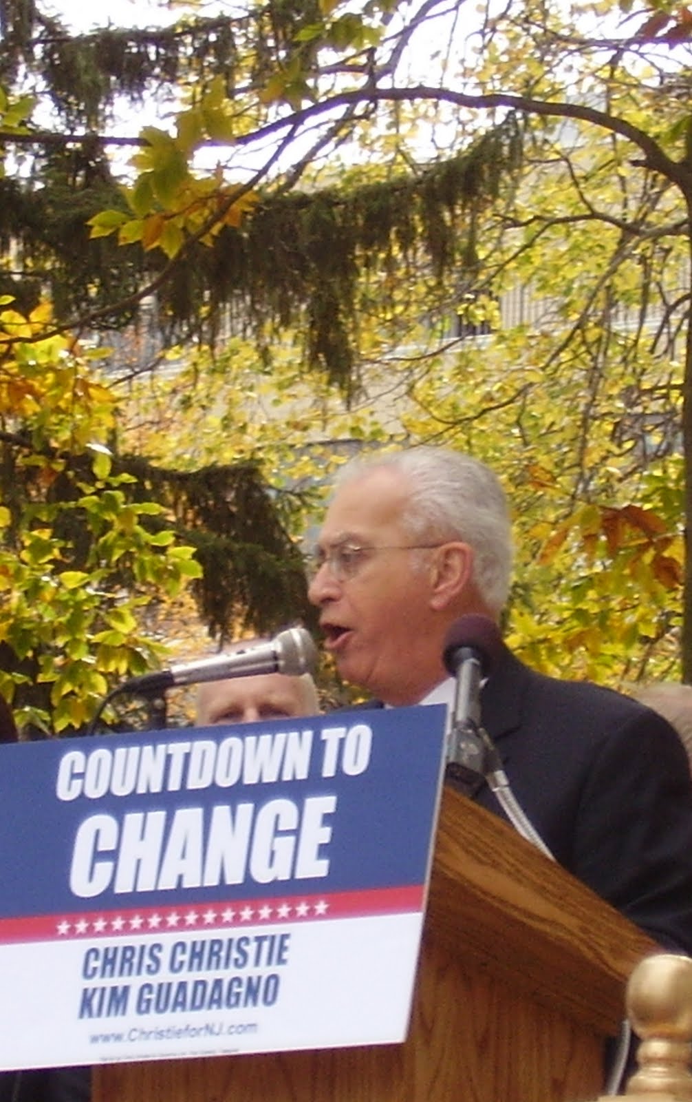 "The 'Right' Solutions" by Christopher Canarelli: RIP Alex DeCroce