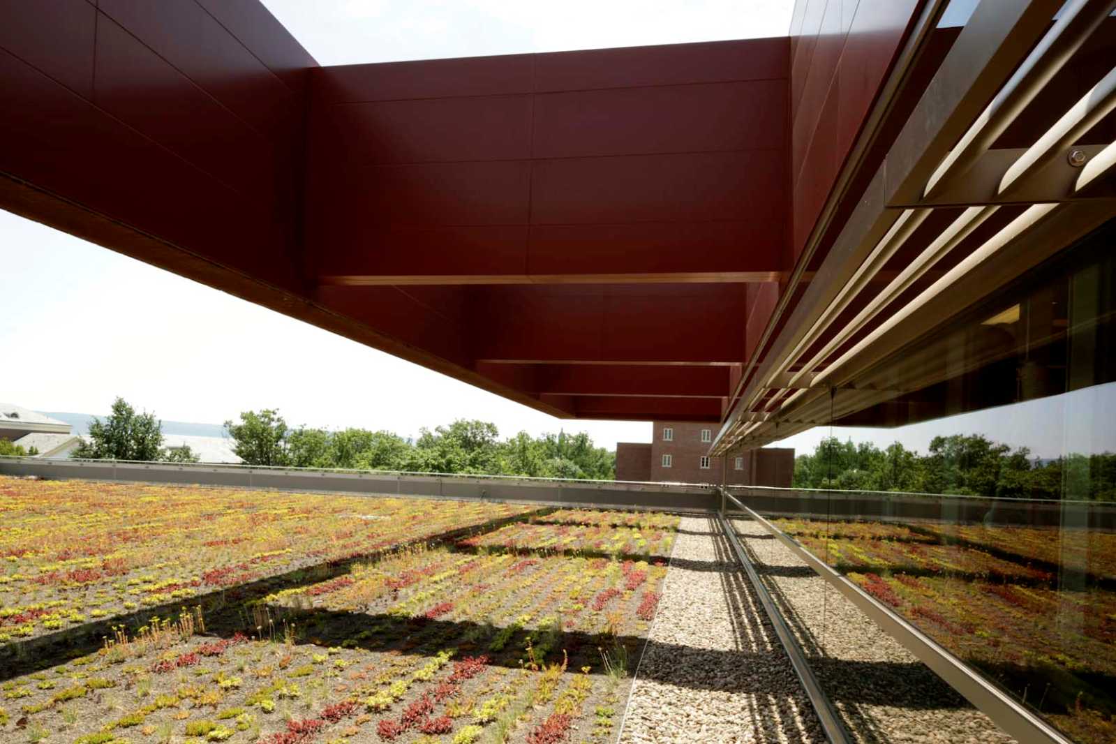 architecture now and The Future: MILLENNIUM SCIENCE COMPLEX BY RAFAEL ...