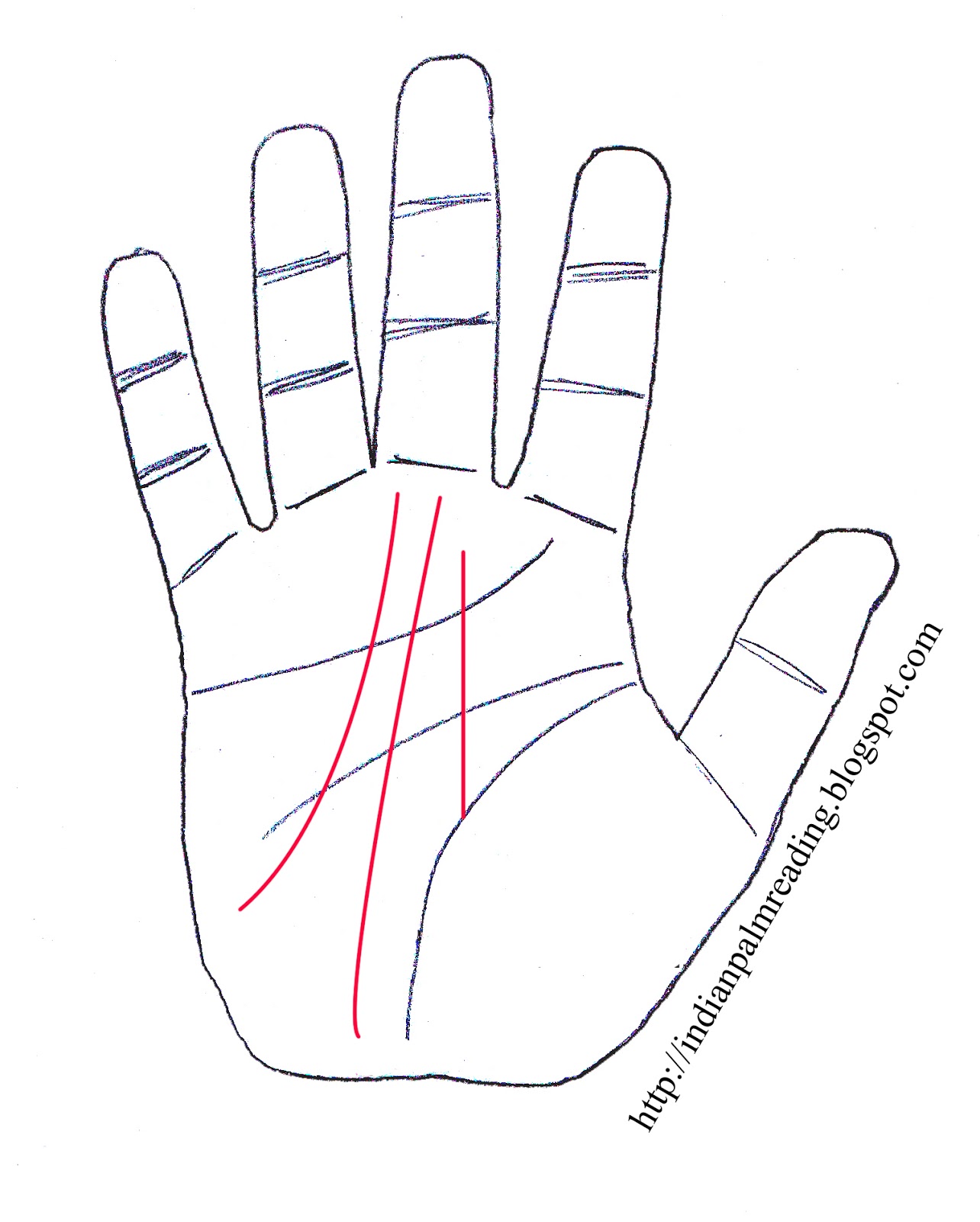 Double-Tripple Fate Lines Palmistry ~ INDIAN PALMISTRY | PALM READING ...