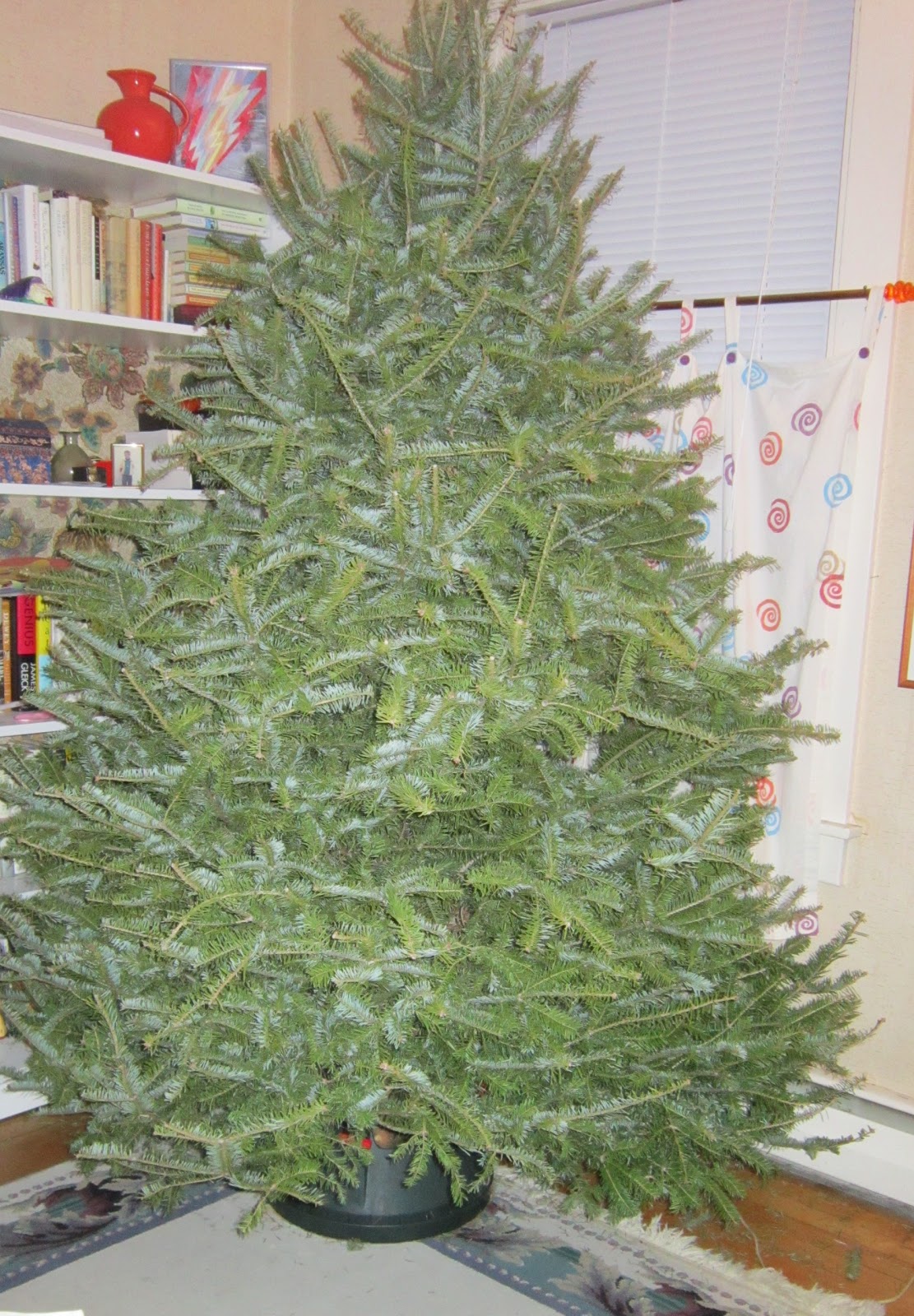 Darling Millie: Ding Dong, The Tree is Gone!