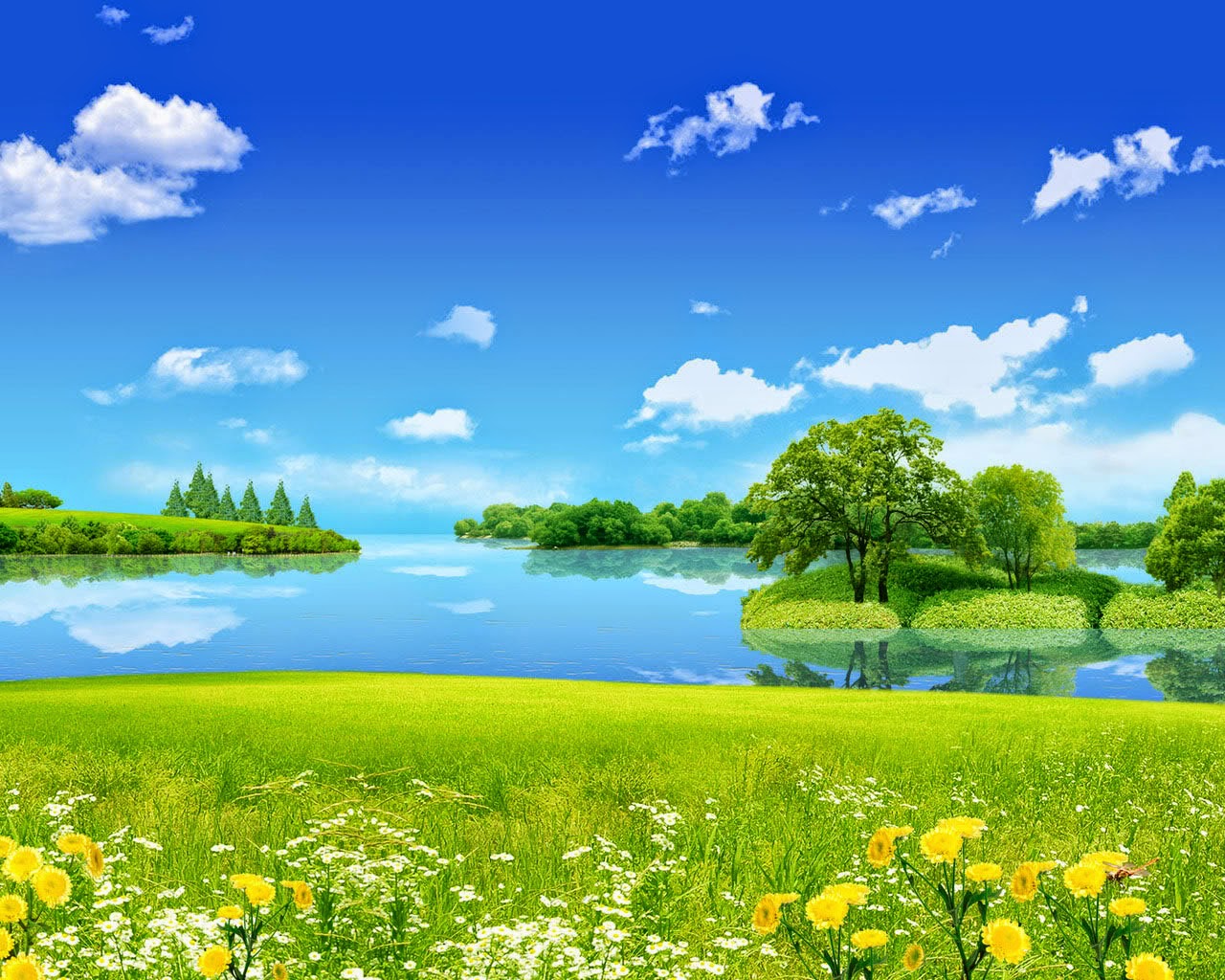 Tải Hình Nền Động Vật: Hình nền đẹp thiên nhiên