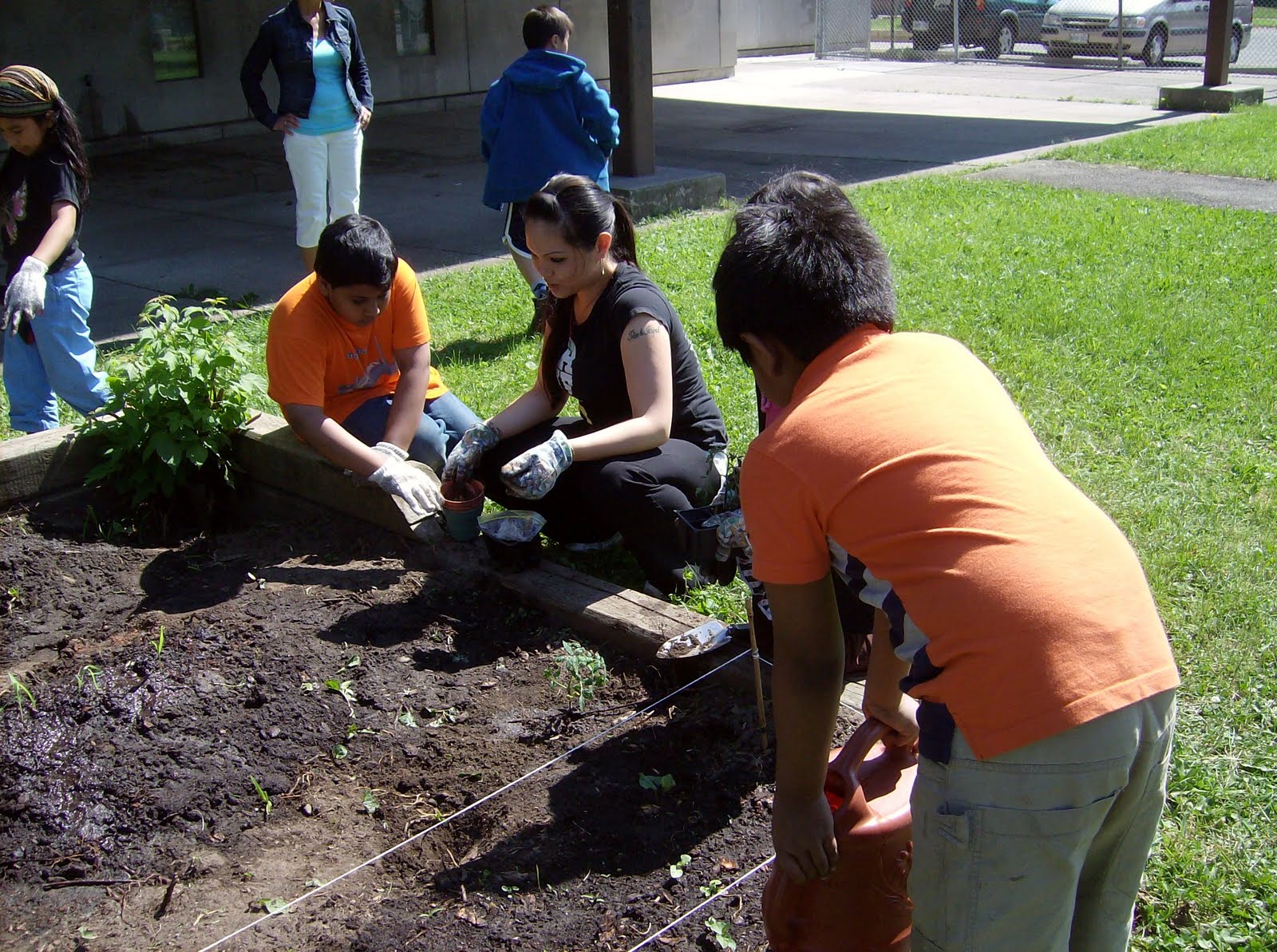 George Syme Community School Garden Club: Look what is happening in the ...