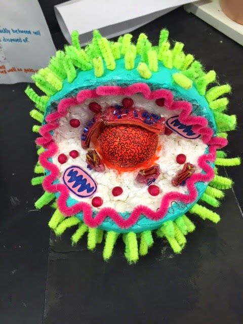 Ms. Pasquali's Grade 8 Class: Science Culminating Activity