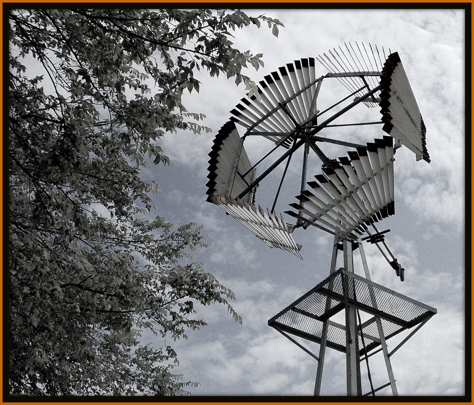 Shutterbugs Capturing the World Around Us: Wind Basket