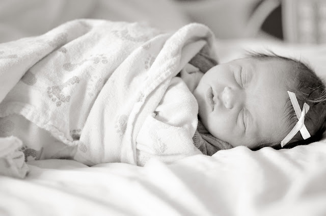 wallin photography: fresh little baby, as sweet and tiny as could be.