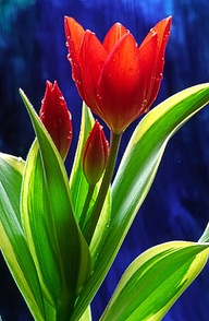 Out of this world 2: Andy Small - Fine Art Photography