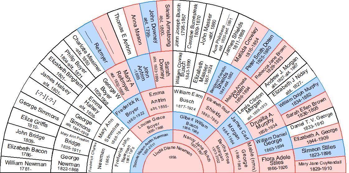 Linda Newman's Family Tree: 2017