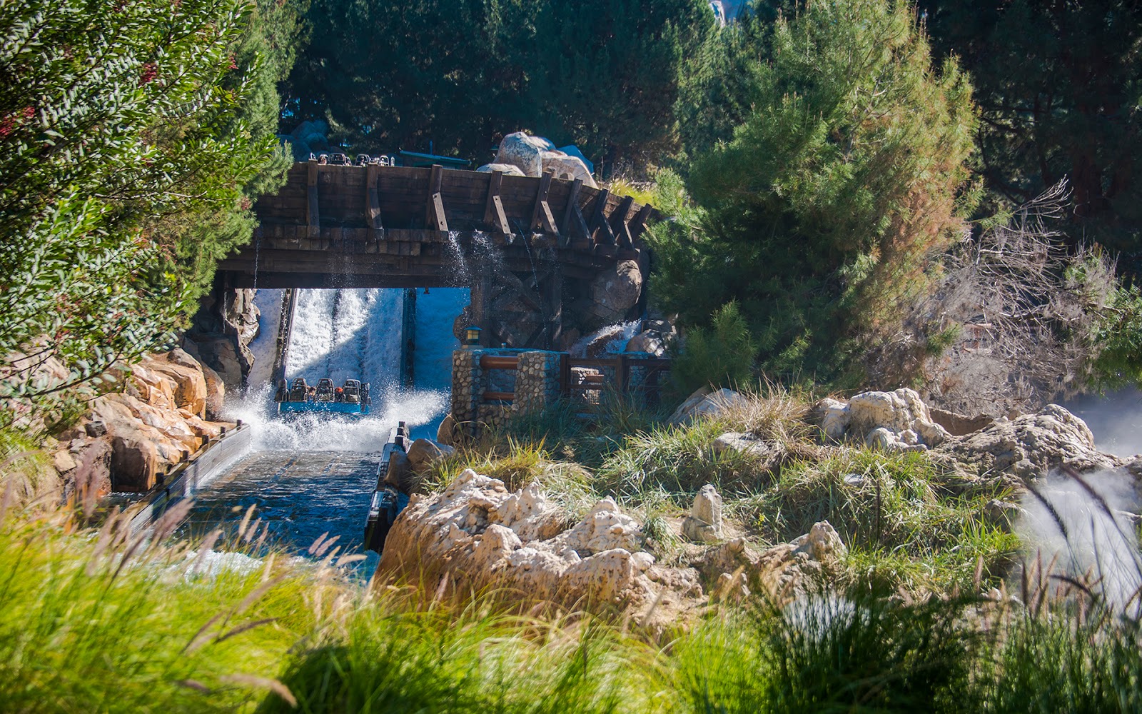 Grizzly Winter Rapids
