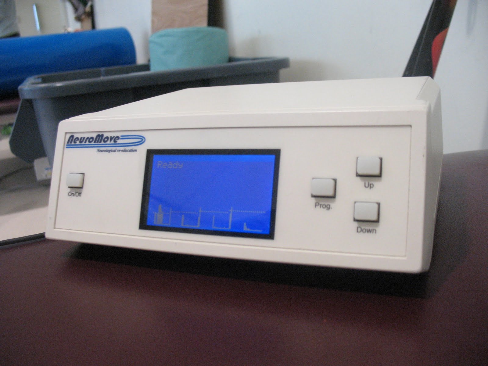 The Turtle Walks: Post-Surgery Physical Therapy