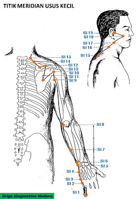 Ilmu Titik Meridian Akupuntur Dan Akupresur