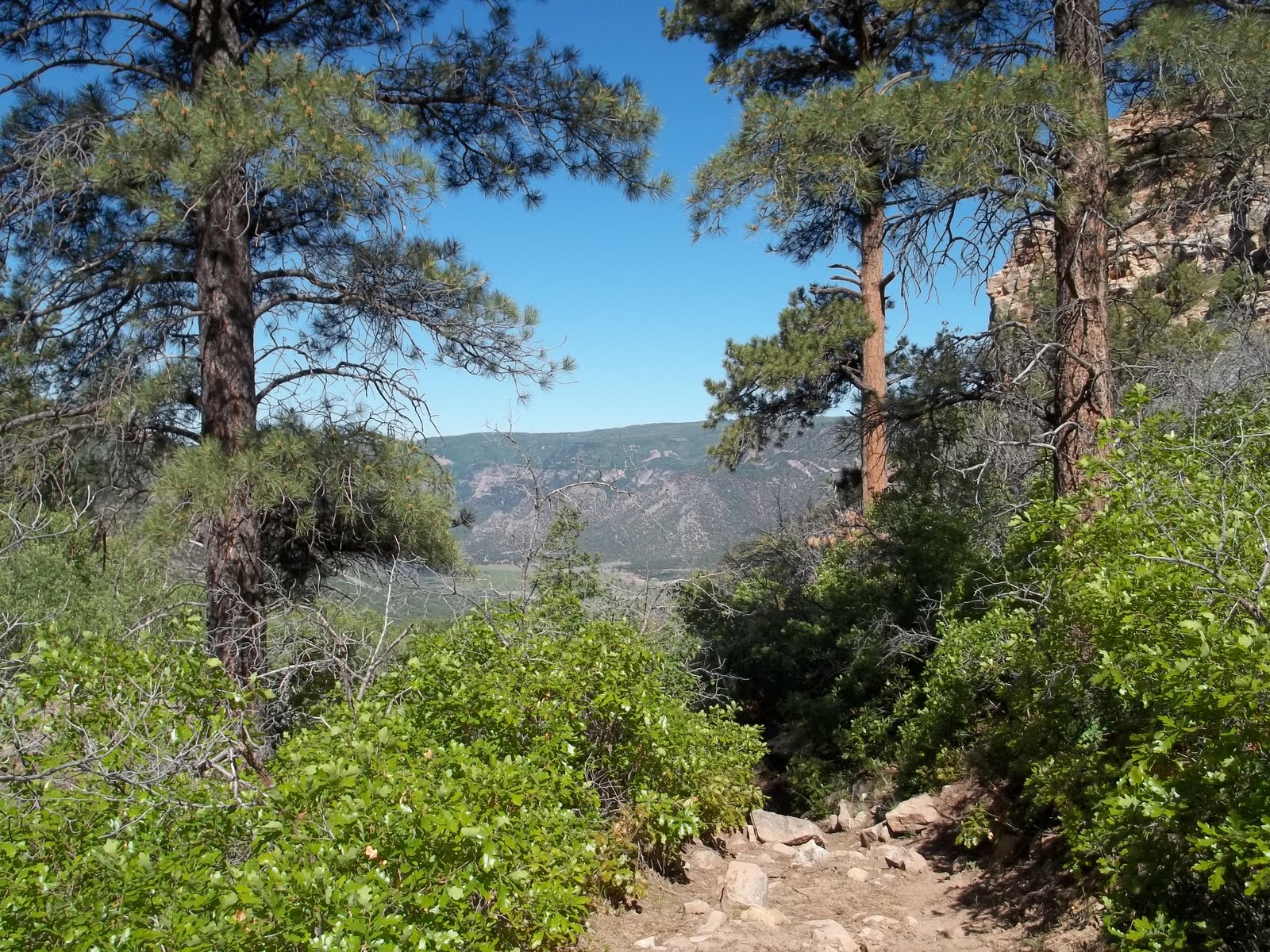 gjhikes.com: Wildcat Trail