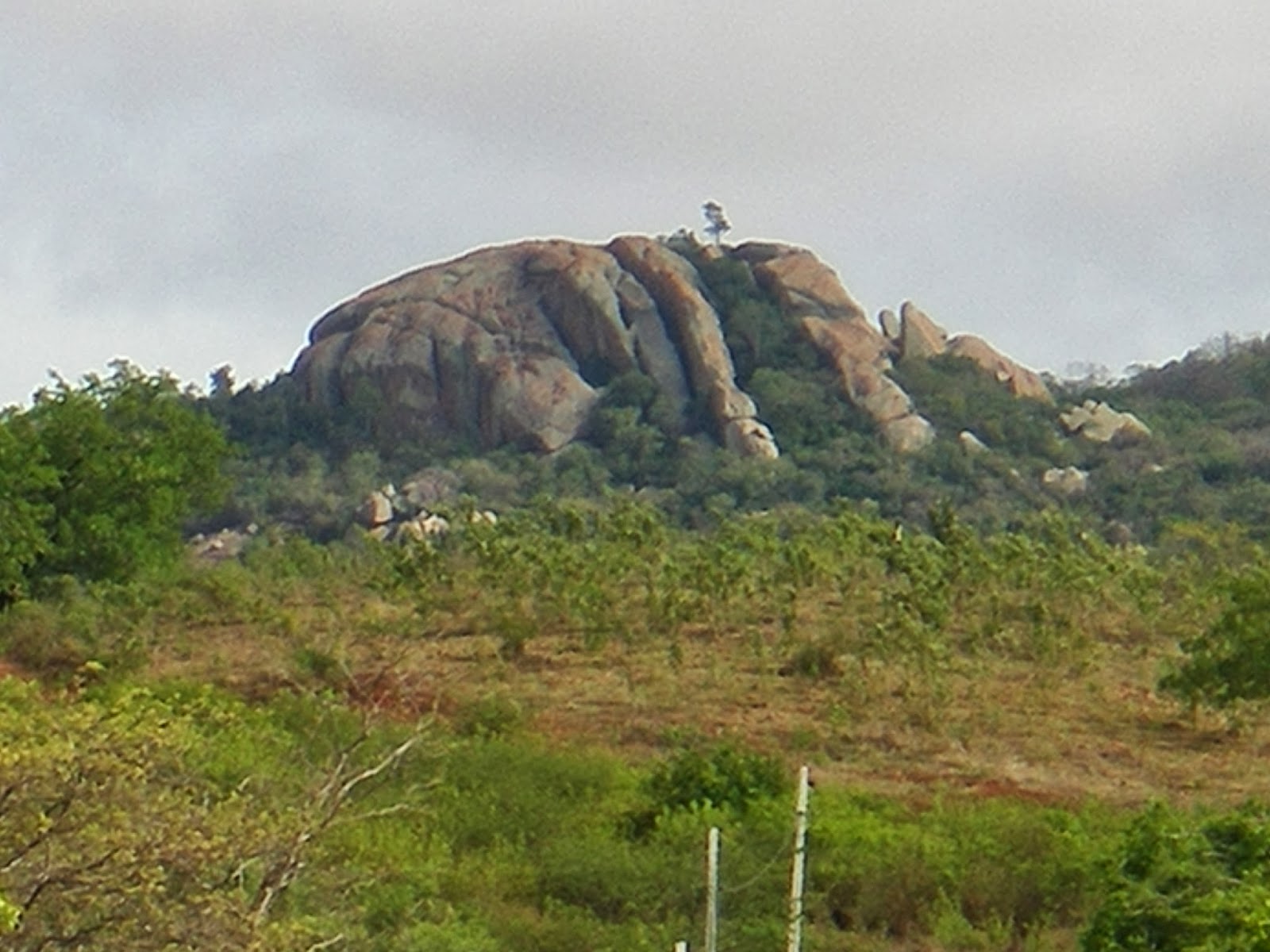 Amigos do BAR CENTRAL, o popular BAR DO CEARÁ: Às belezas de Monteiro (PB)