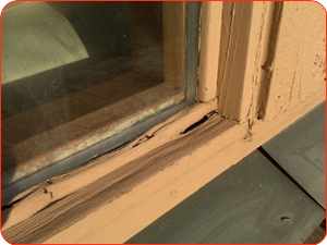 Seal Failure In Windows | Seattle Redmond Issaquah WA