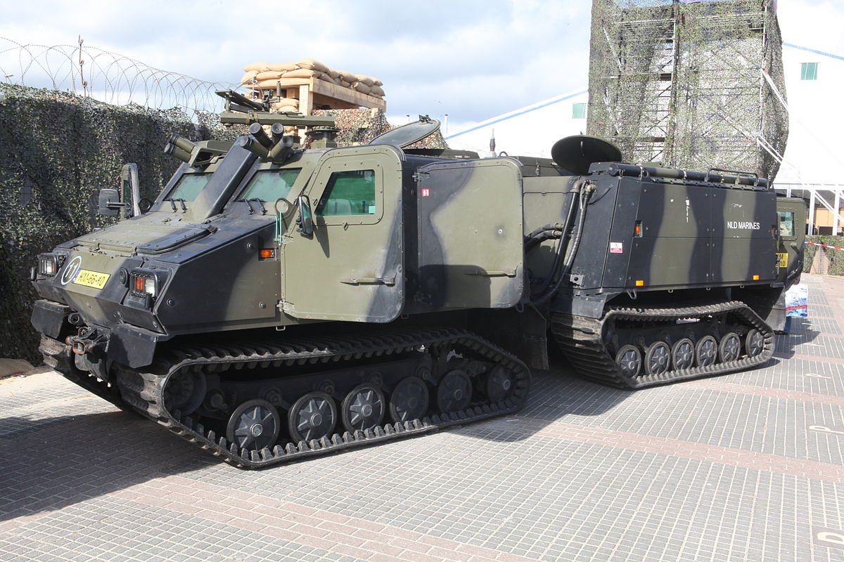 Arms ID'ed: BvS 10 Viking