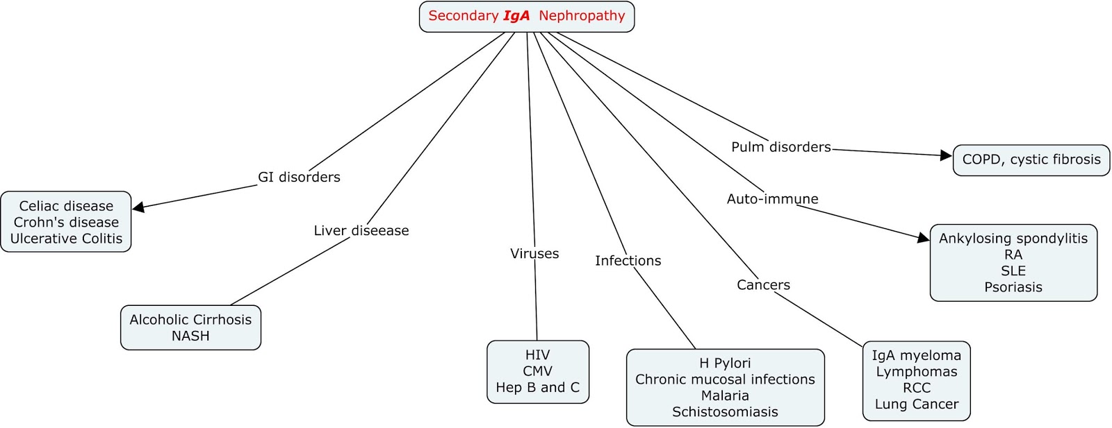 Nephron Power: Concept Map: Secondary IgA Nephropathy