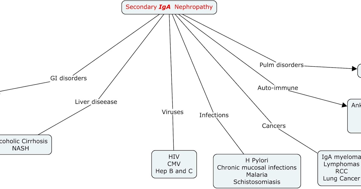 Nephron Power: Concept Map: Secondary IgA Nephropathy