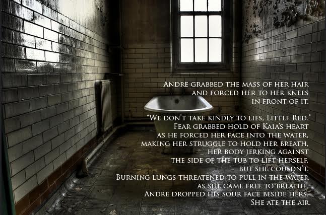 Queen of the Night Reviews: Cover Reveal for Loving Red by Alisha Costanzo