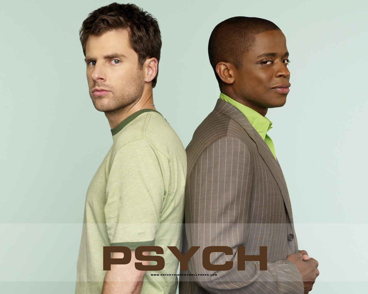 Dear Book: [Séries] Psych