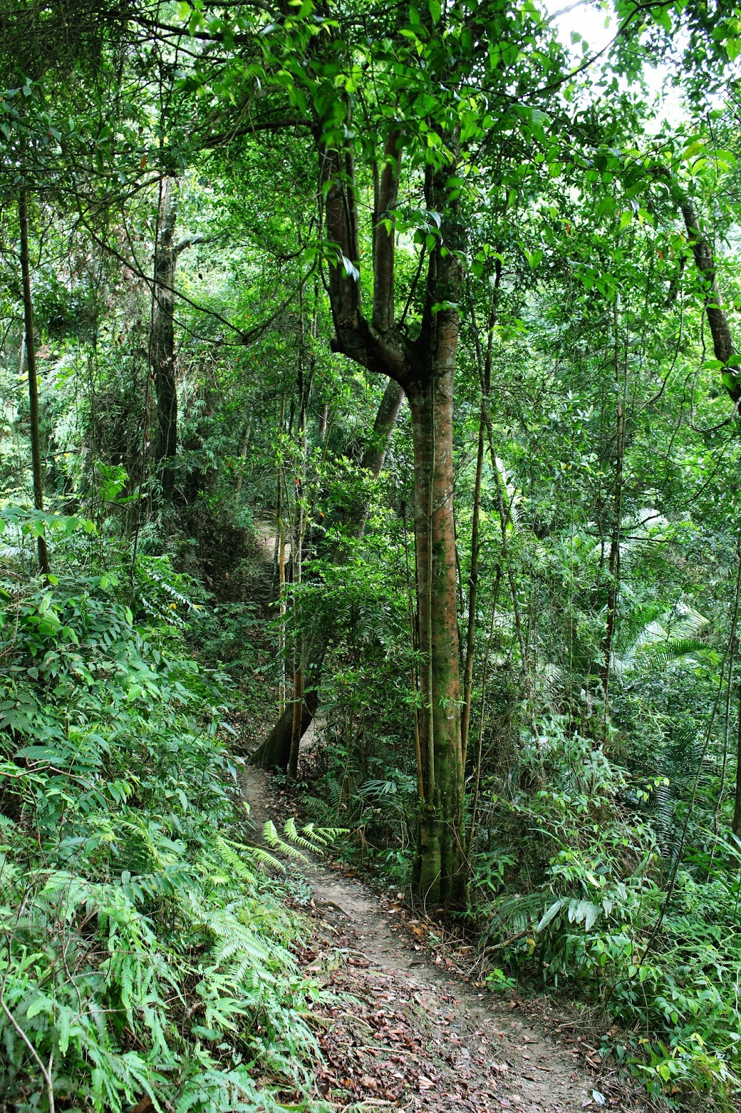 Hello Good Times: Bukit Saga, Ampang