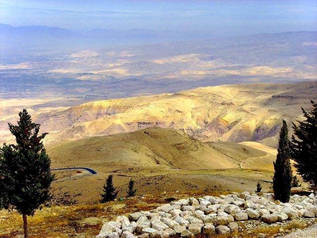Parroquia de San Juan Bautista La Palma del Condado: PÁGINAS DE LA ...