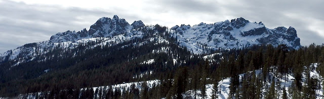 North Yuba Naturalist