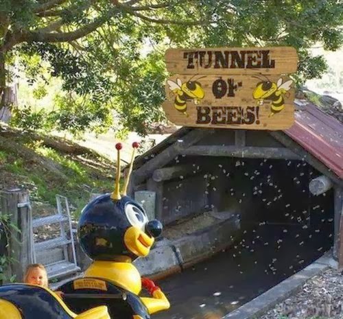 Visual Consumer: Worst amusement park ride ever?