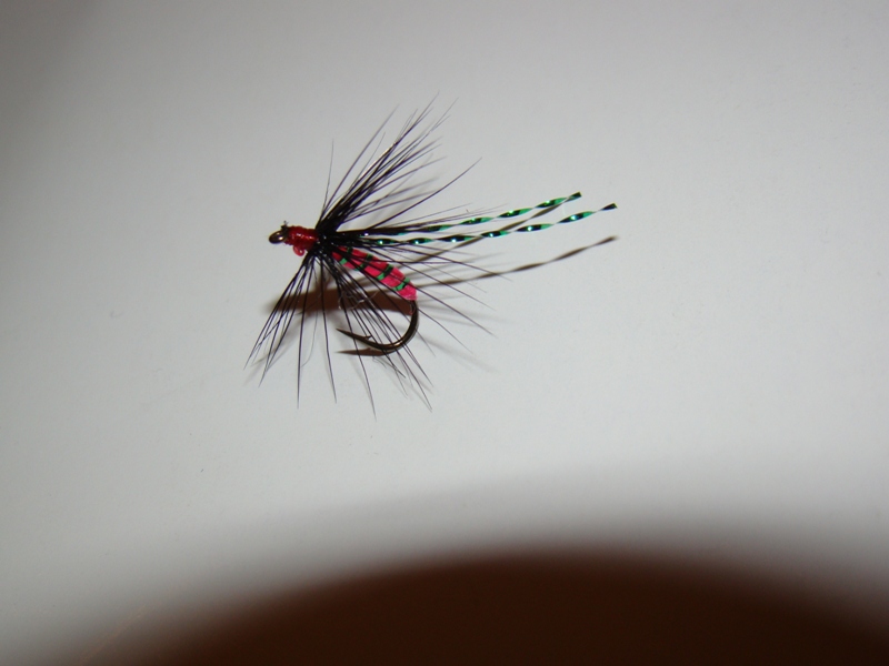 Pescuit cu musca artificiala: Taparina CLEAN