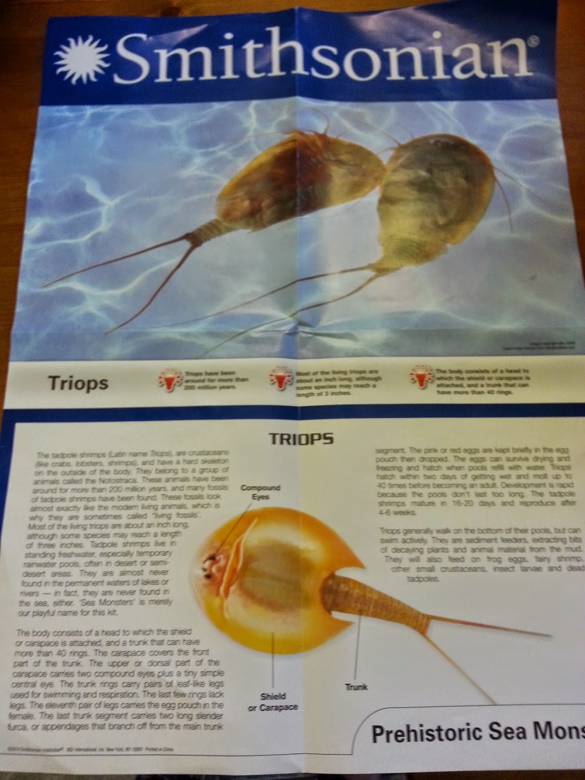Triops Smithsonian Kit