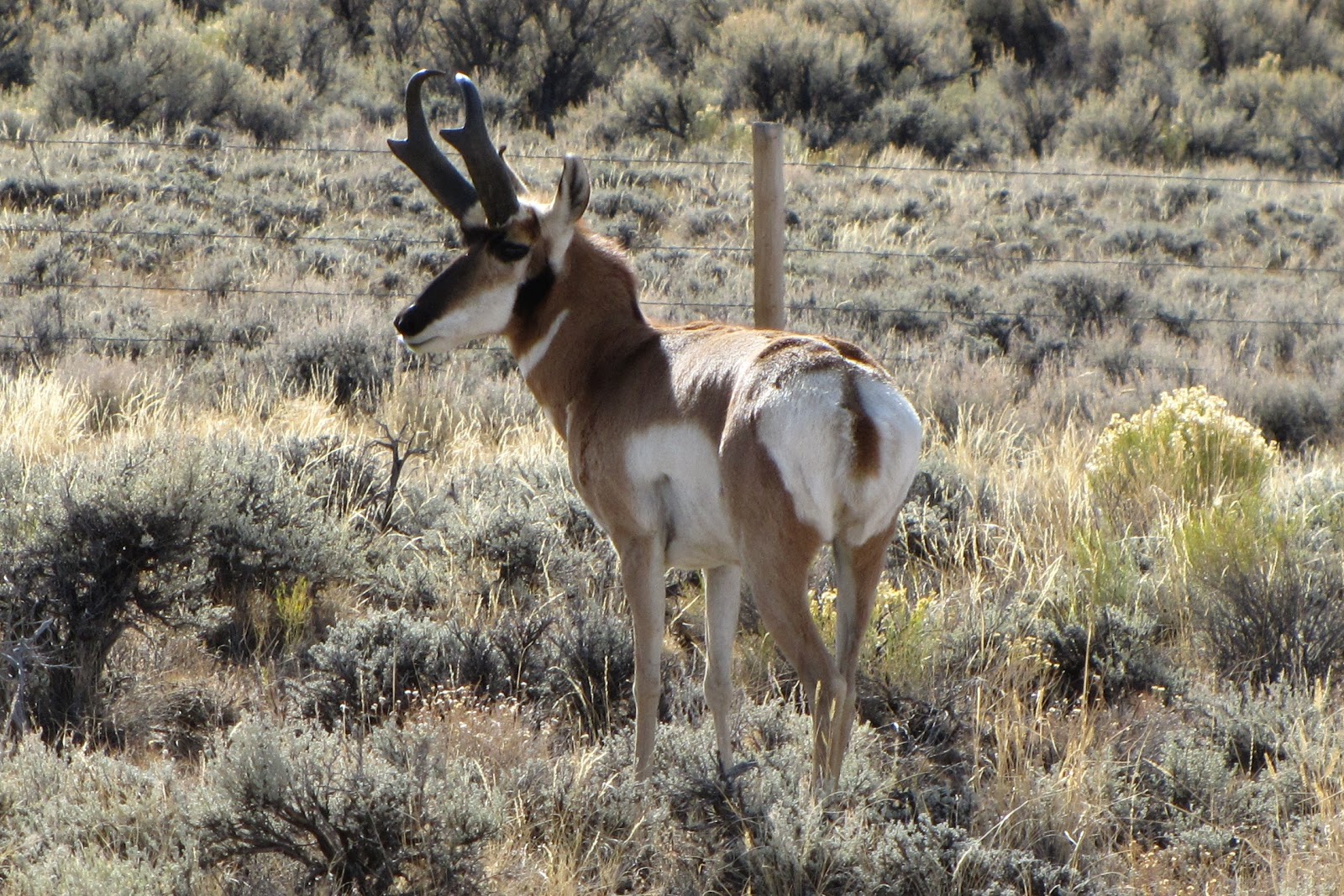 To Behold the Beauty: Changing Cameras