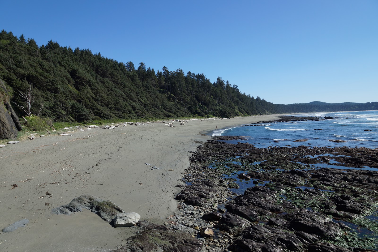 cape flattery and shi shi beach adventures - teacups and cinnamon